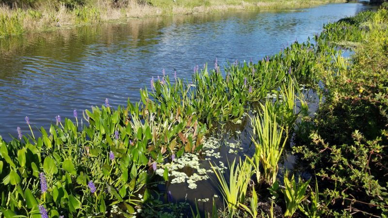 Phillippi Creek | Are You In?